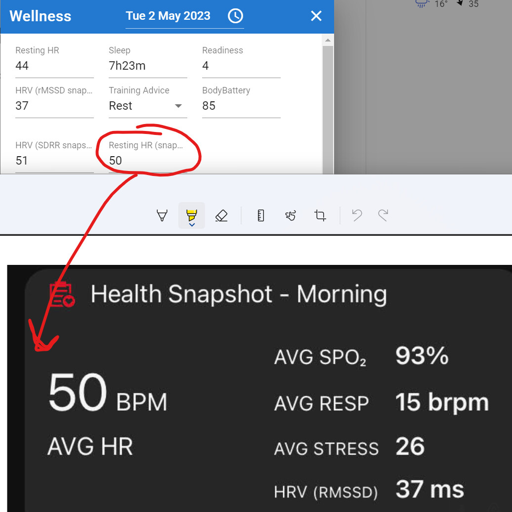 Garmin Snaphsot HR value - Bug Reports - Intervals.icu Forum